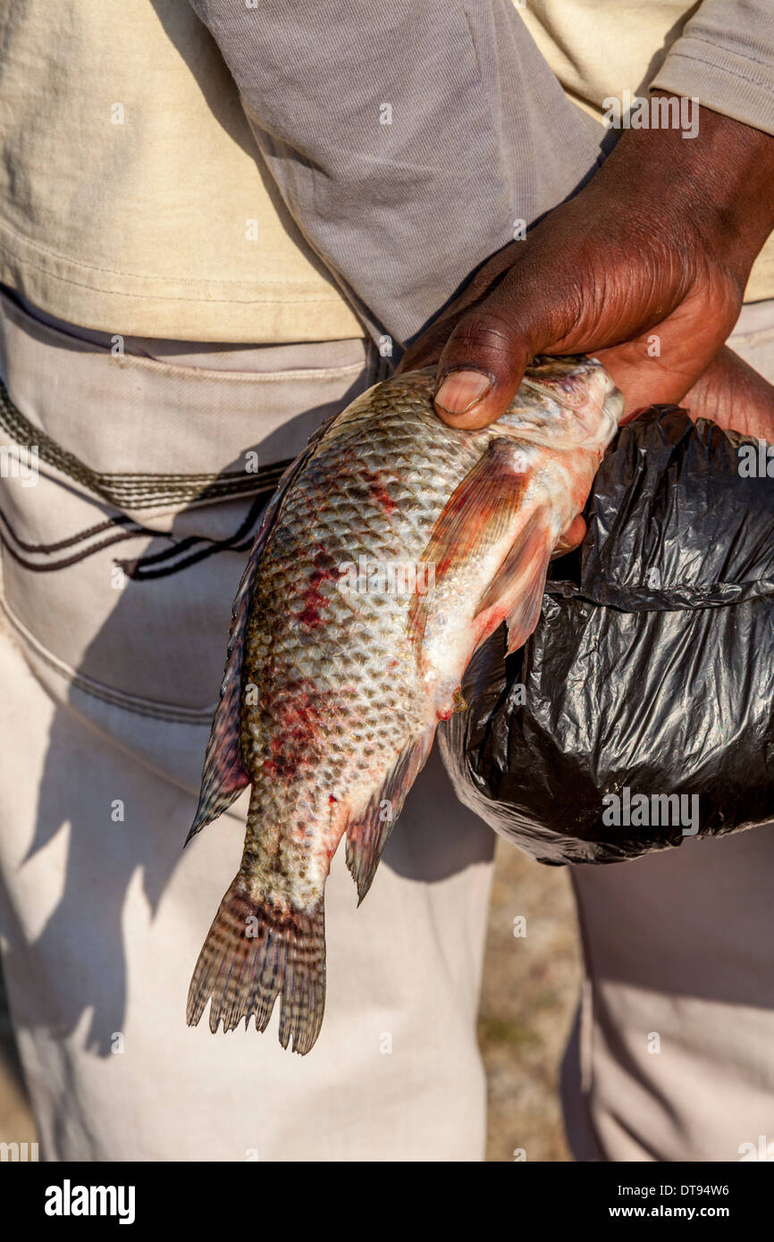 Man Holding A Fish, The Fish Market, Lake Hawassa, Hawassa, Ethiopia ...