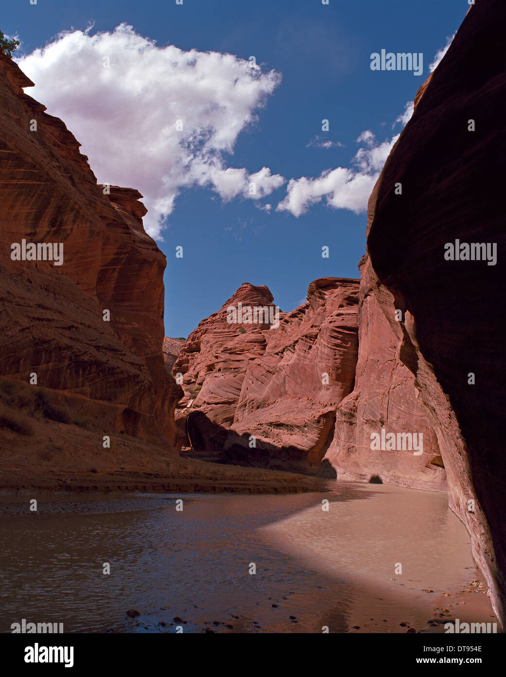 Paria canyon az hi-res stock photography and images - Alamy