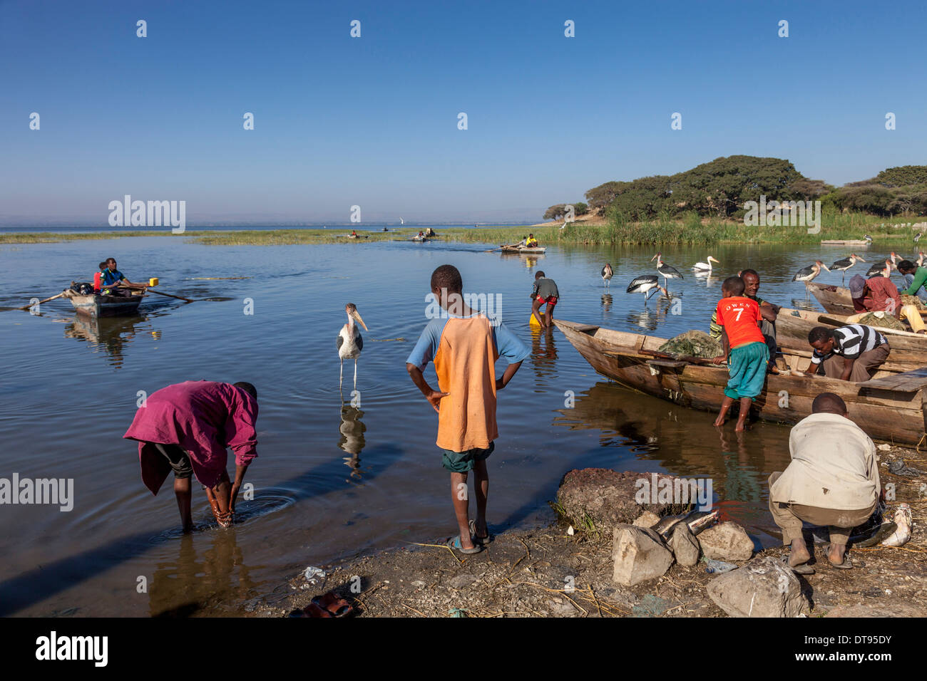 Fish market lake hawassa hawassa hi-res stock photography and images ...