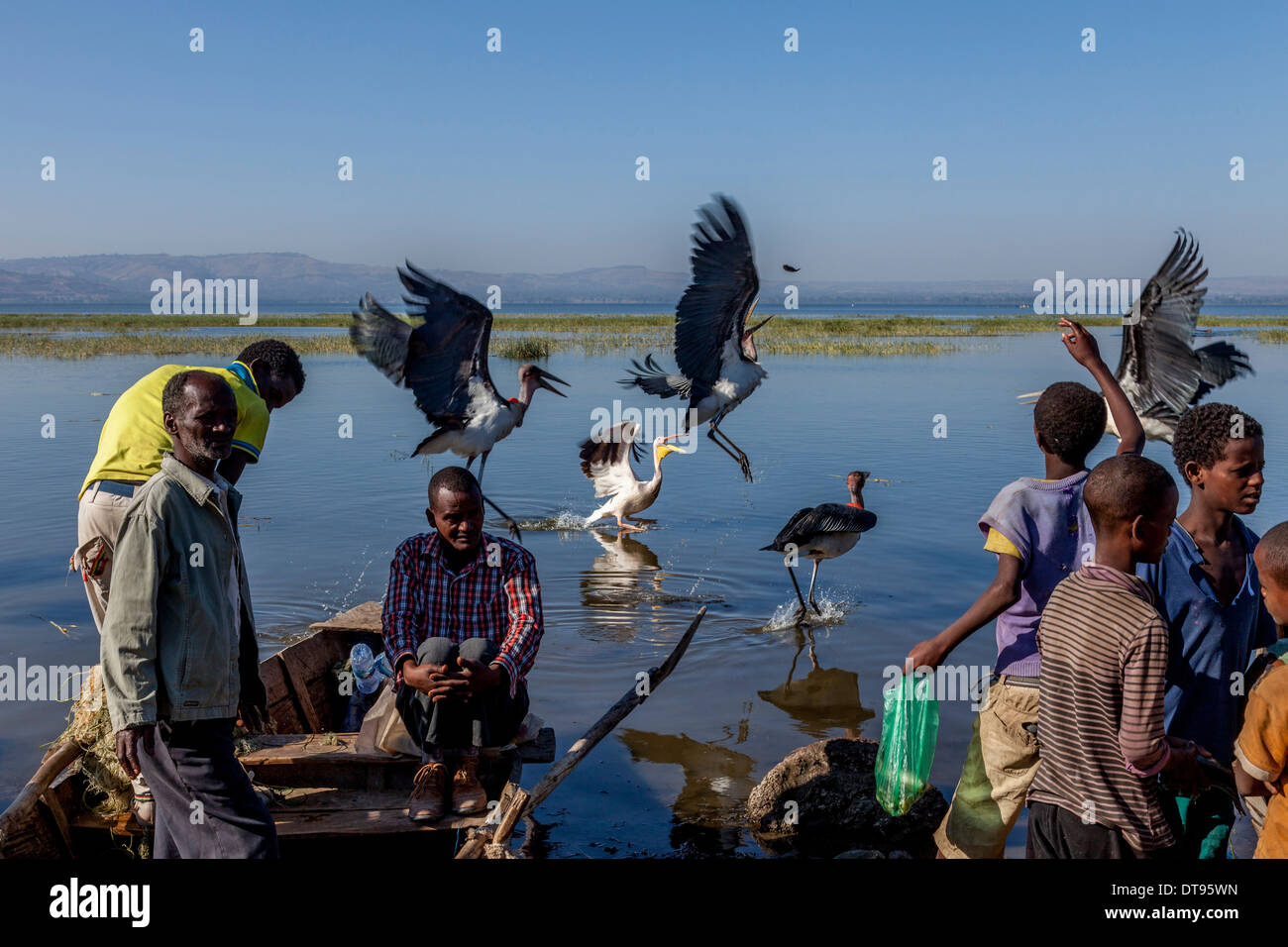 Hawassa Fish Market High Resolution Stock Photography and Images - Alamy