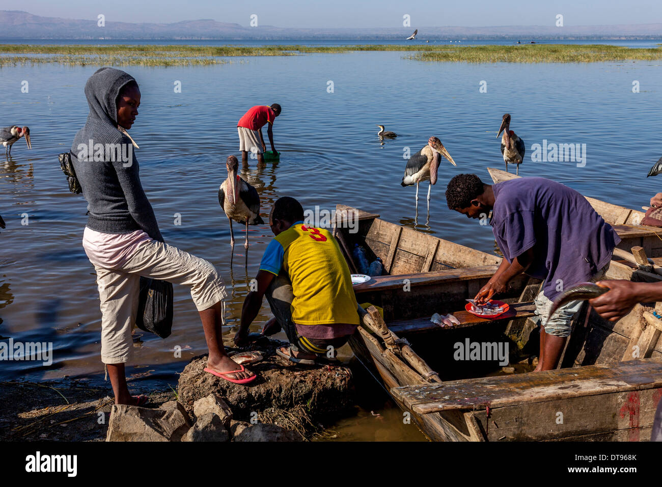 The Fish Market, Lake Hawassa, Hawassa, Ethiopia Stock Photo - Alamy