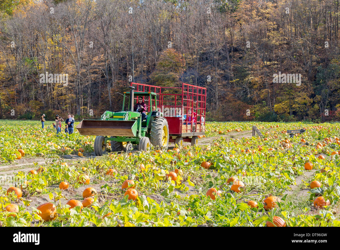 Hayride pumpkins hi-res stock photography and images - Alamy
