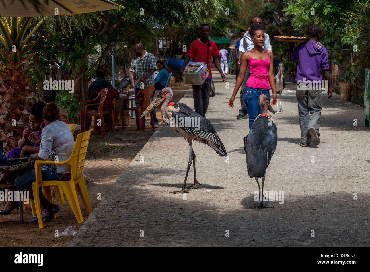 Lakeshore Trail, Lake Hawassa, Hawassa, Ethiopia Stock Photo - Alamy
