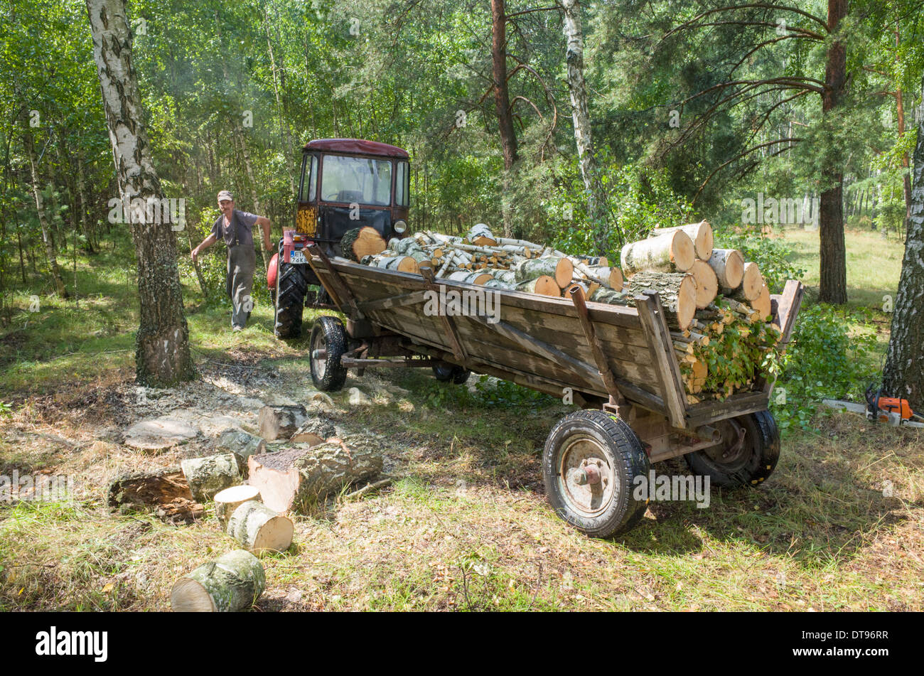 Firewood wagon hi-res stock photography and images - Alamy