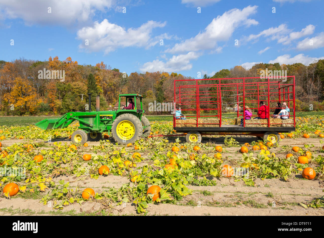 Families on a hay ride on a farm and surrounded by pumpkins Stock Photo ...