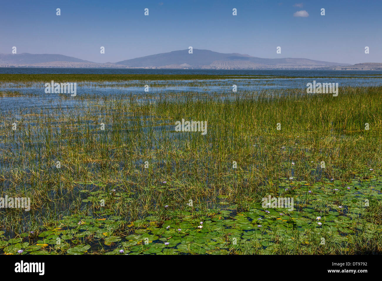 Lake Hawassa, Hawassa, Ethiopia Stock Photo - Alamy
