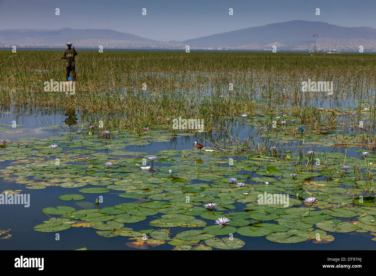 Fisherman, Lake Hawassa, Hawassa, Ethiopia Stock Photo - Alamy