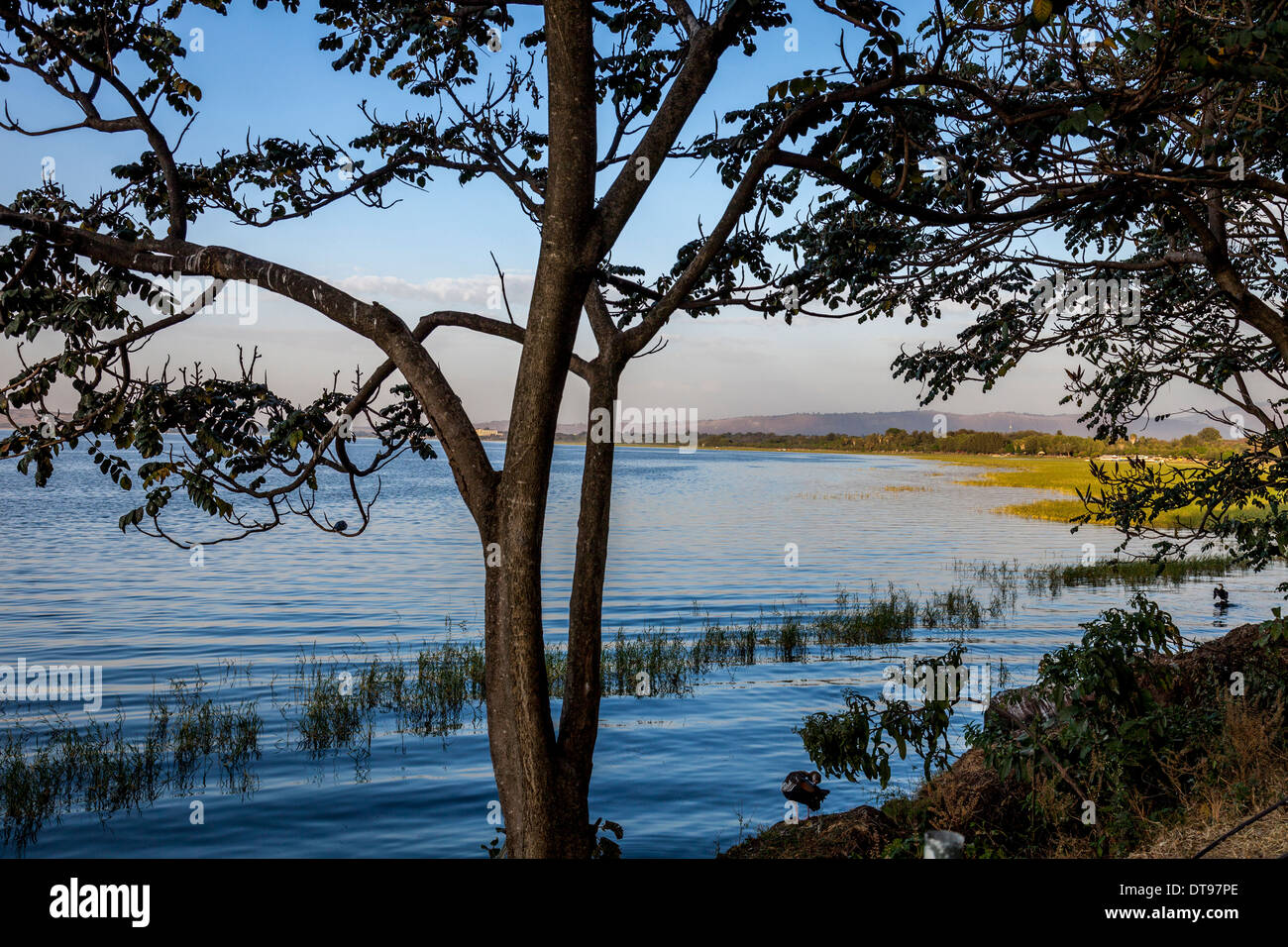 Lake Hawassa, Hawassa, Ethiopia Stock Photo - Alamy