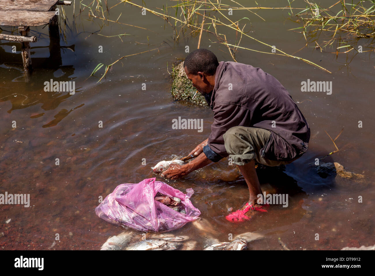 Hawassa lake hi-res stock photography and images - Alamy
