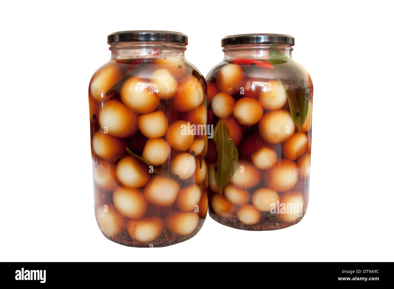 Two isolated bottles of freshly bottled home made pickled onions on ...