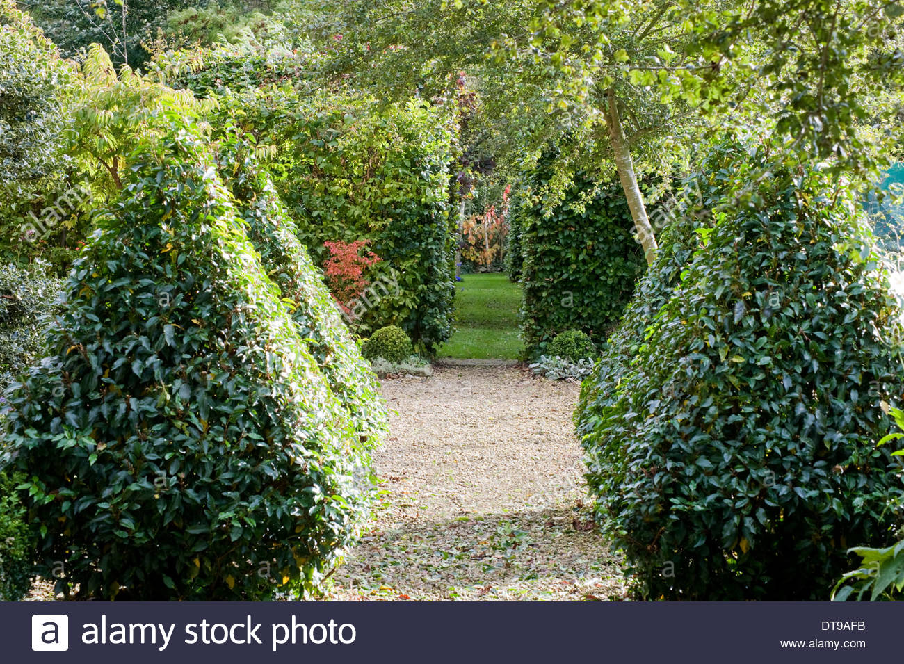 Bay Tree Topiary Stock Photos & Bay Tree Topiary Stock Images - Alamy
