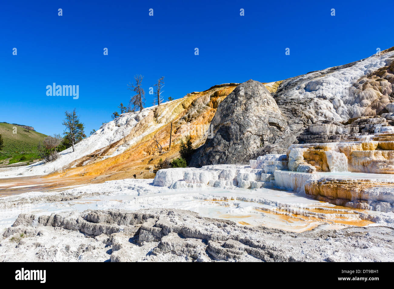 Travertine terraces at Palette Spring, Mammoth Hot Springs, Yellowstone ...