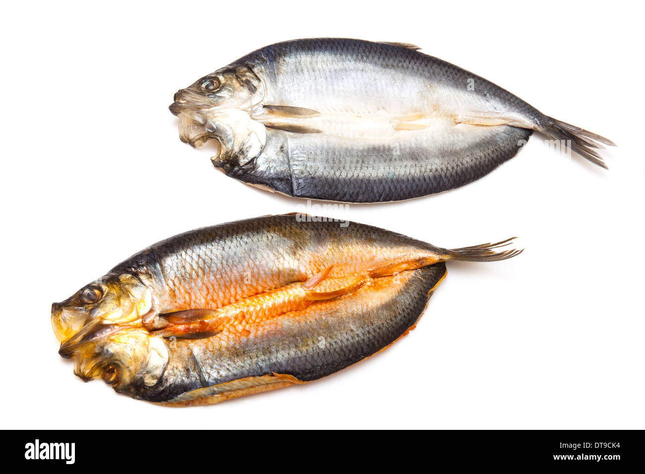 Dyed and non-dyed Scottish smoked kippers isolated on a white studio ...
