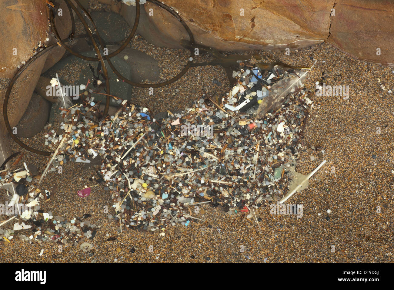 Plastic Nurdles in pool, plastic pellets and other broken down plastic ...