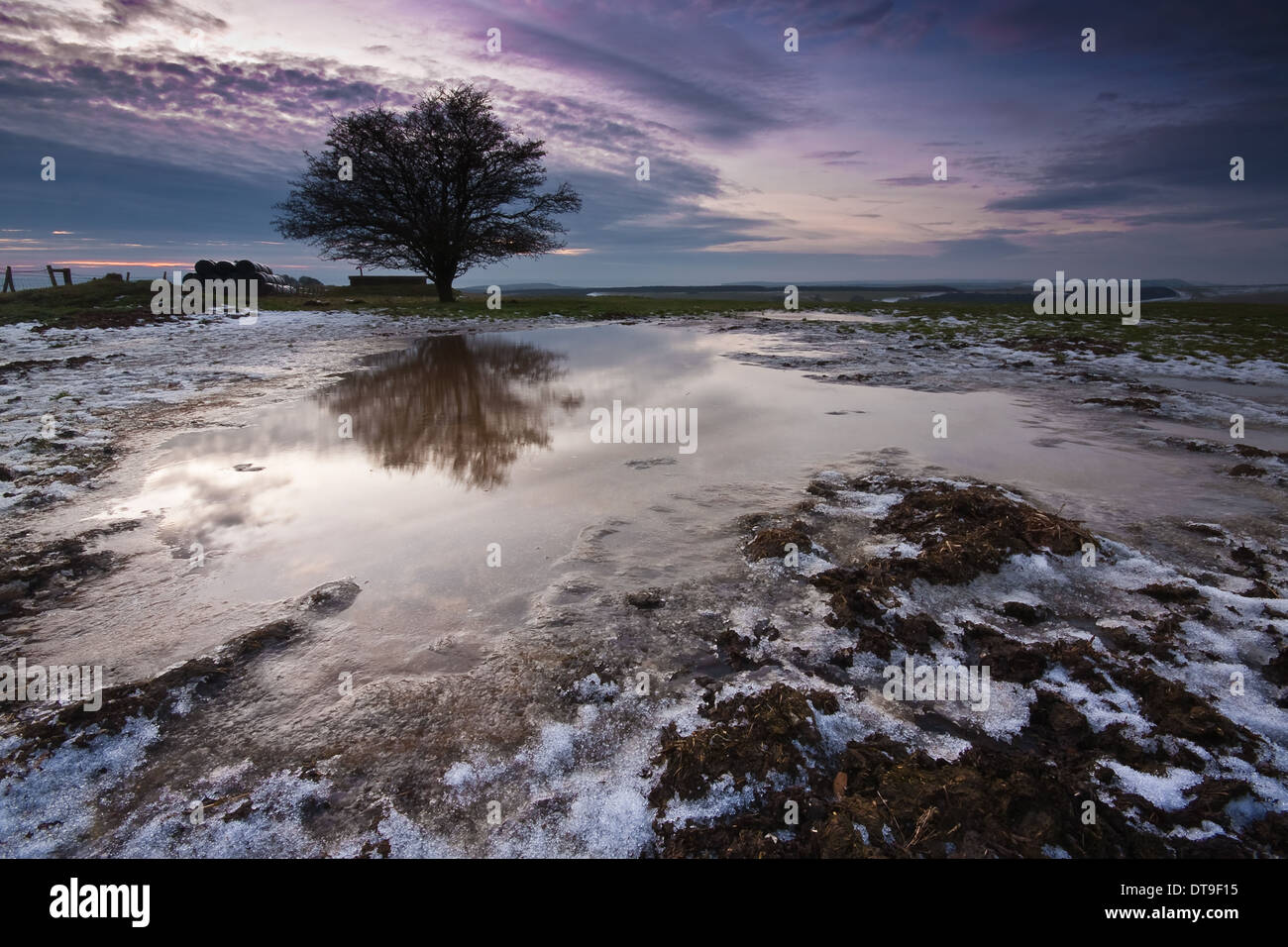 Frozen land hi-res stock photography and images - Alamy