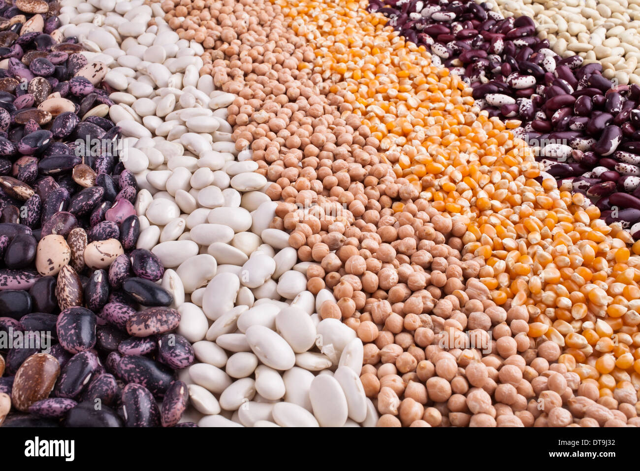 grain mix rows many colorful Stock Photo - Alamy