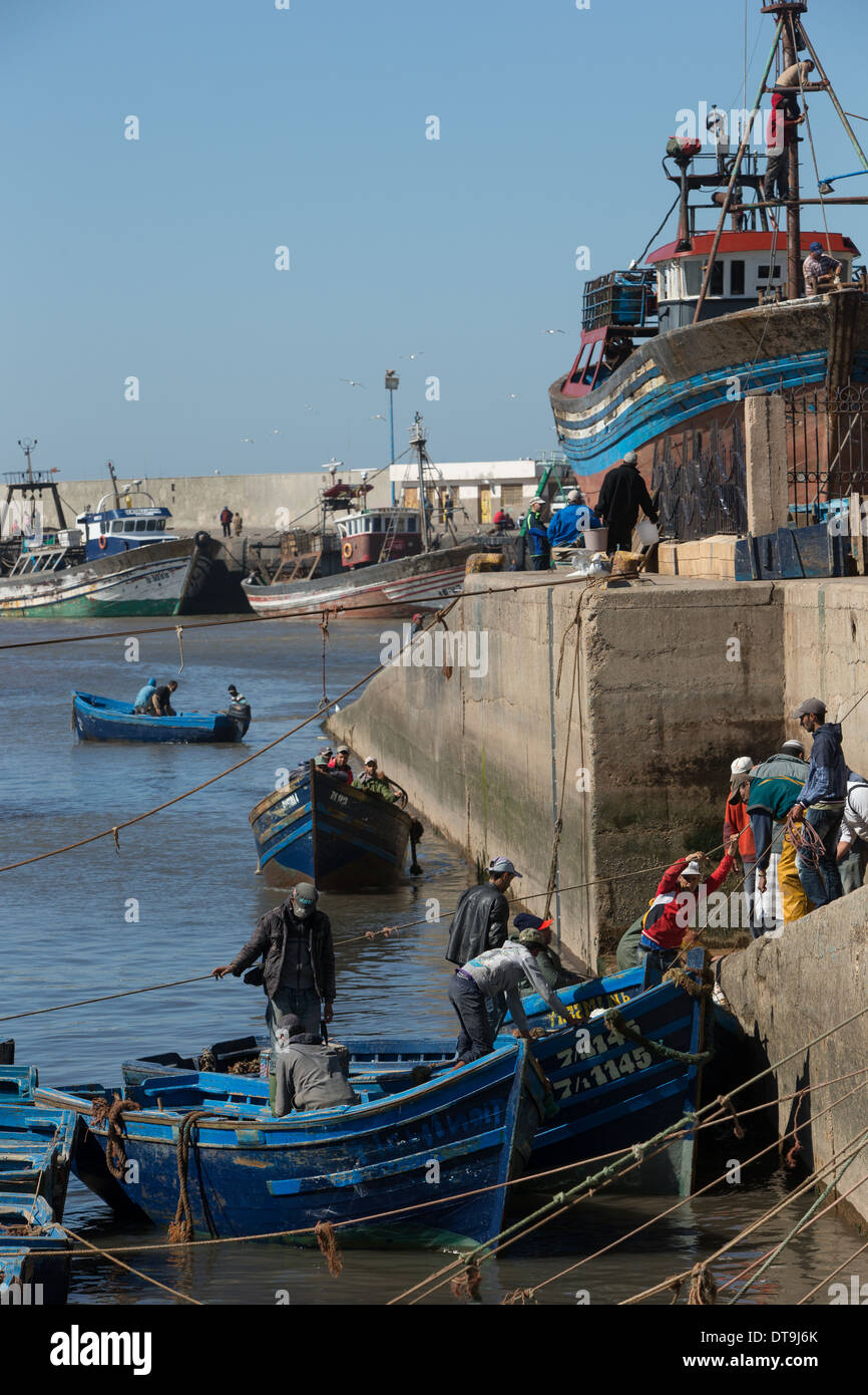 Trawlers catch hi-res stock photography and images - Alamy