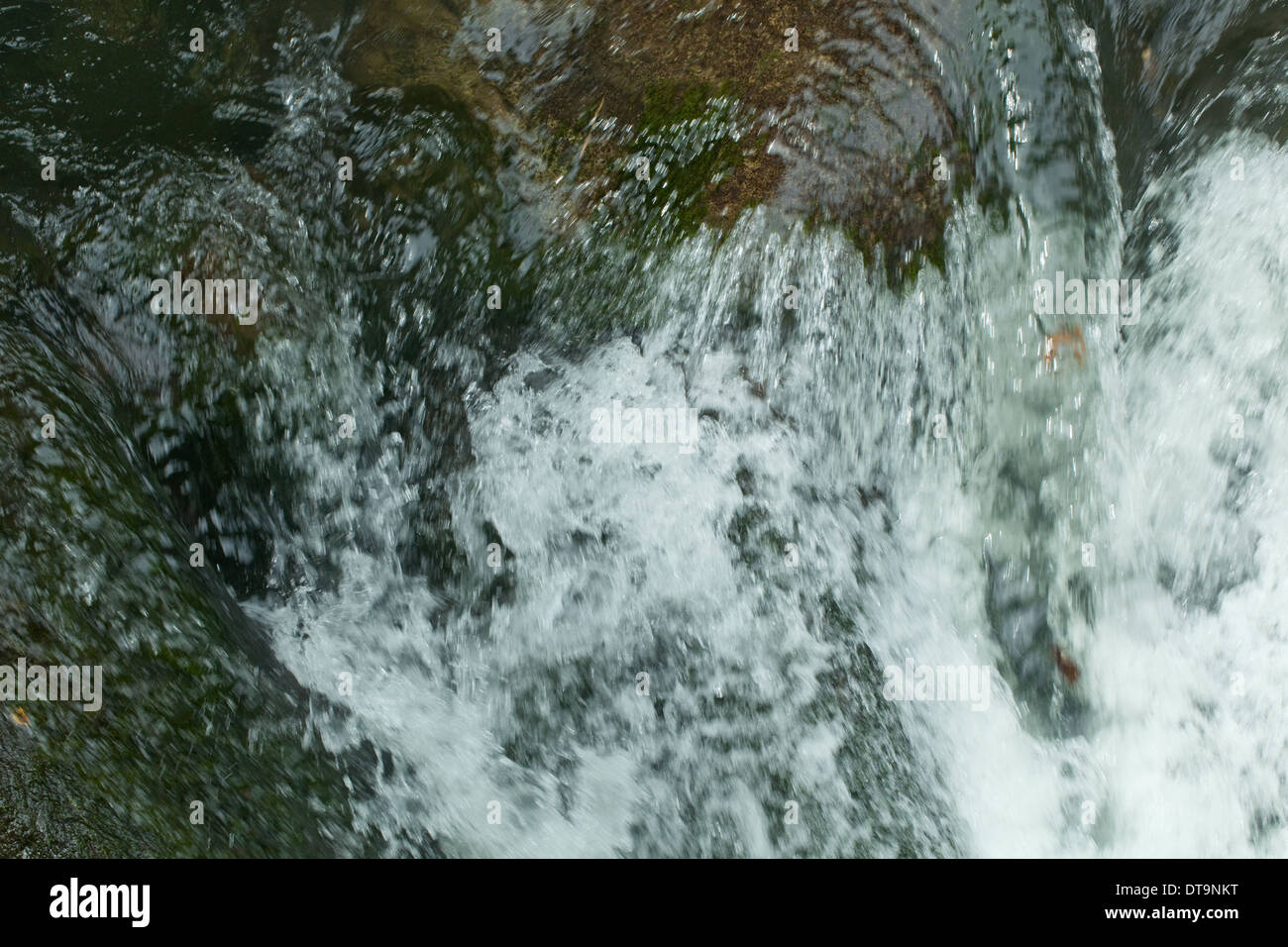 Waterfall. Upper reaches of Savegre River, Talamanea Mountains, Costa ...