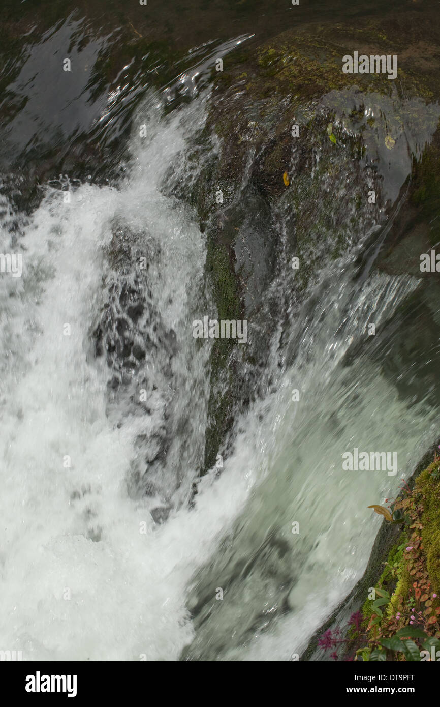 Waterfall. Upper reaches of Savegre River, Talamanea Mountains, Costa ...