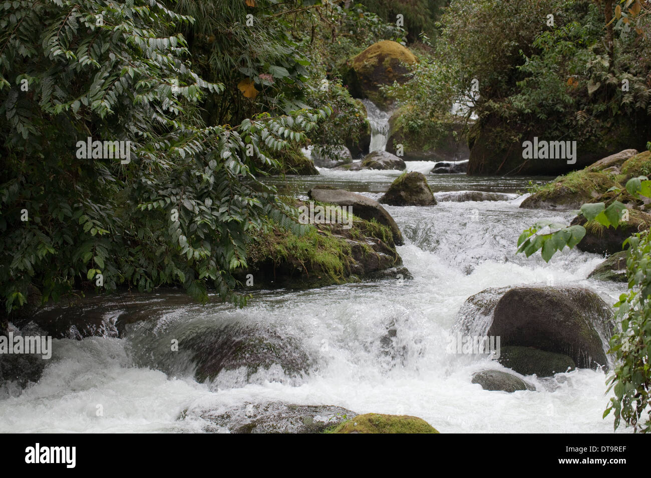 Waterfall and rapids. Upper reaches of Savegre River, Talamanea ...