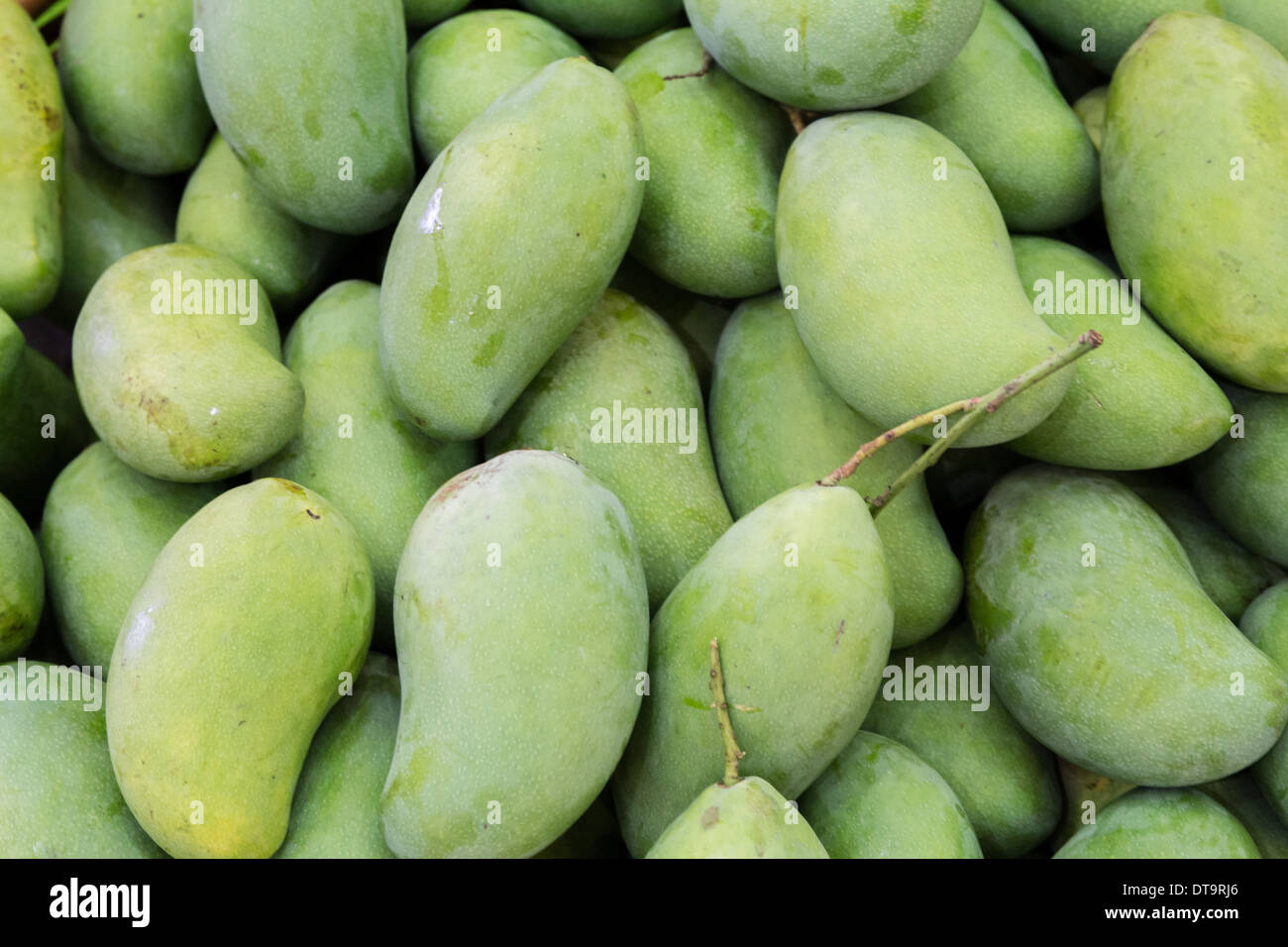 Texture of green mangoes Stock Photo - Alamy