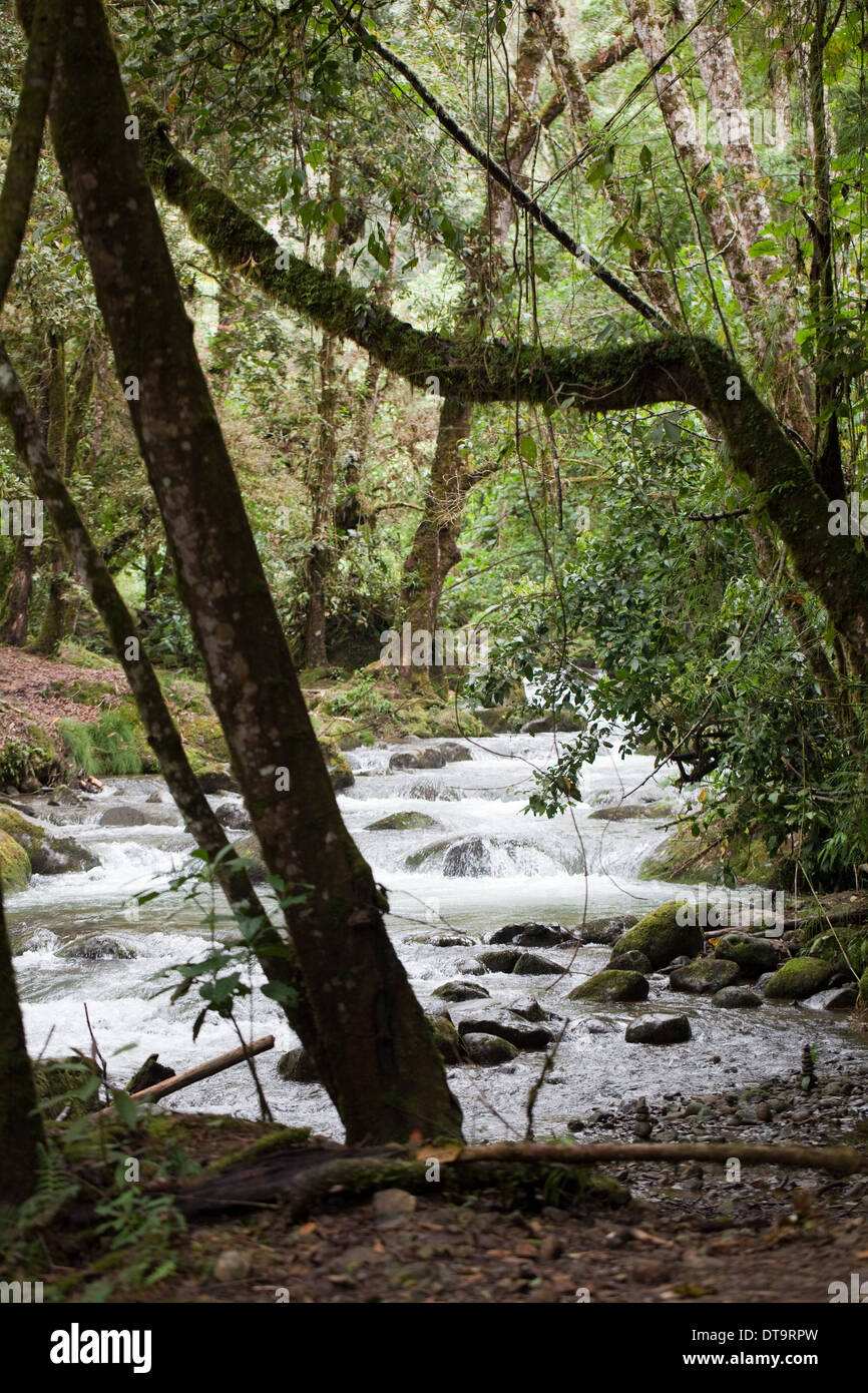 Savegre River. Las Cataracts. San Gerado de Doto. Costa Rica Stock ...