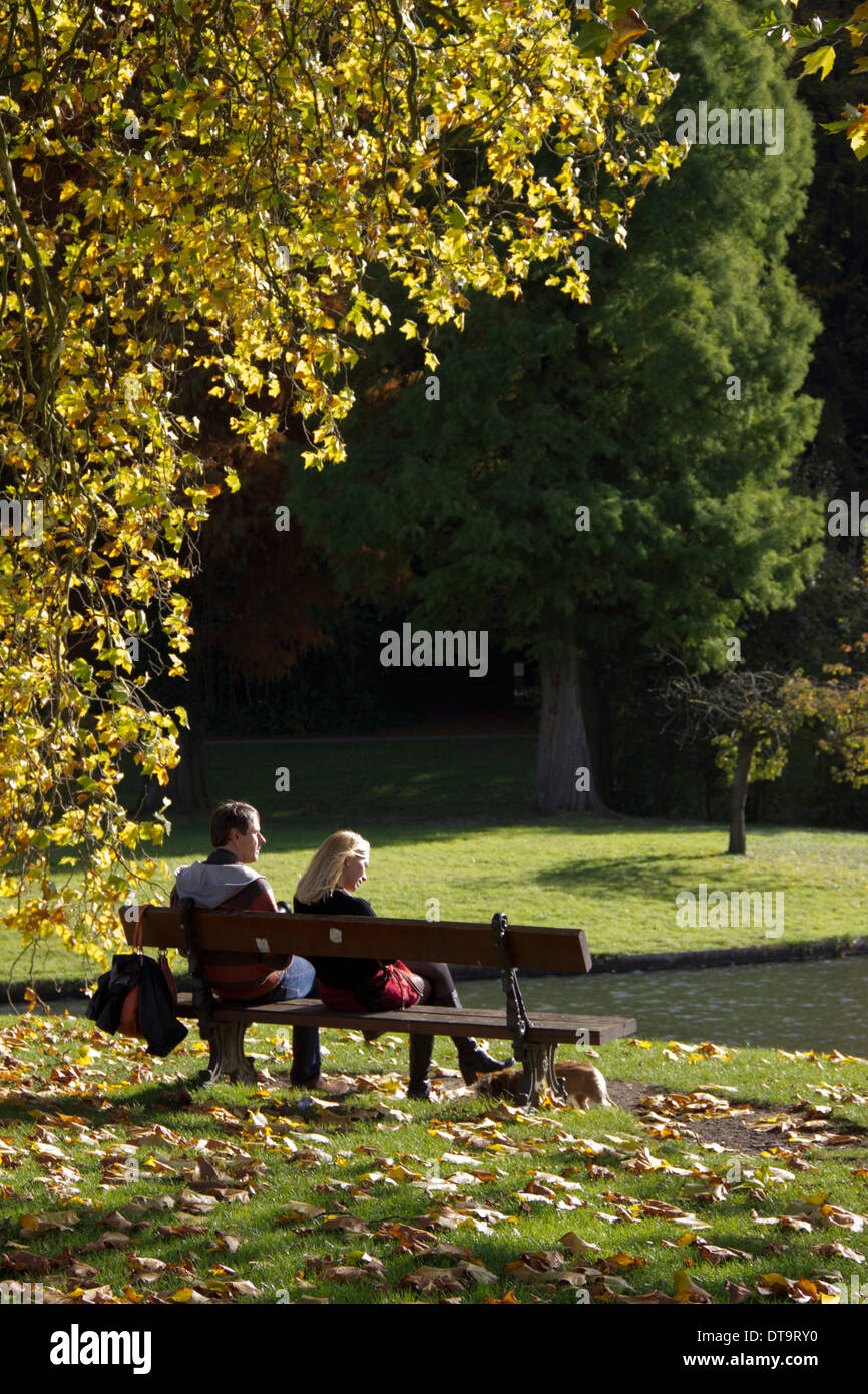 Romantic couple on a bench Stock Photo - Alamy