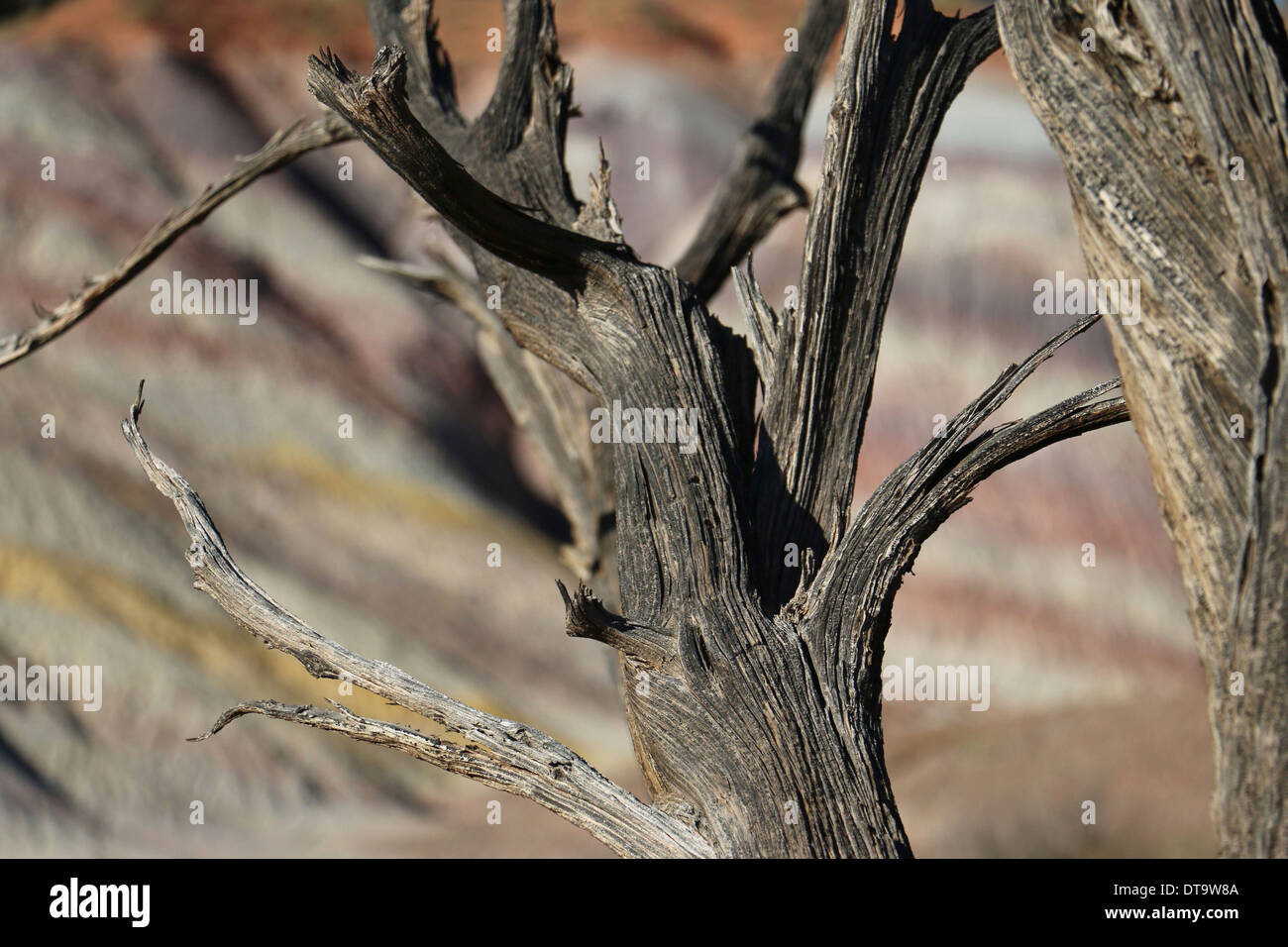 Vermilion cliffs national monument hi-res stock photography and images ...
