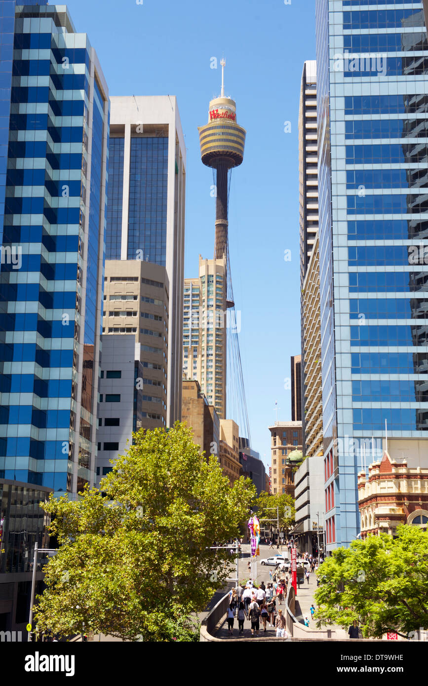 Sydney Tower in the CBD Sydney Australia Stock Photo - Alamy