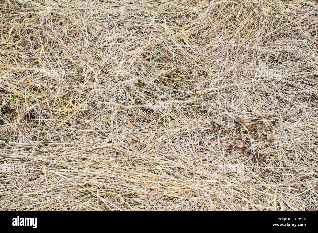 Chaos pattern nature hi-res stock photography and images - Alamy
