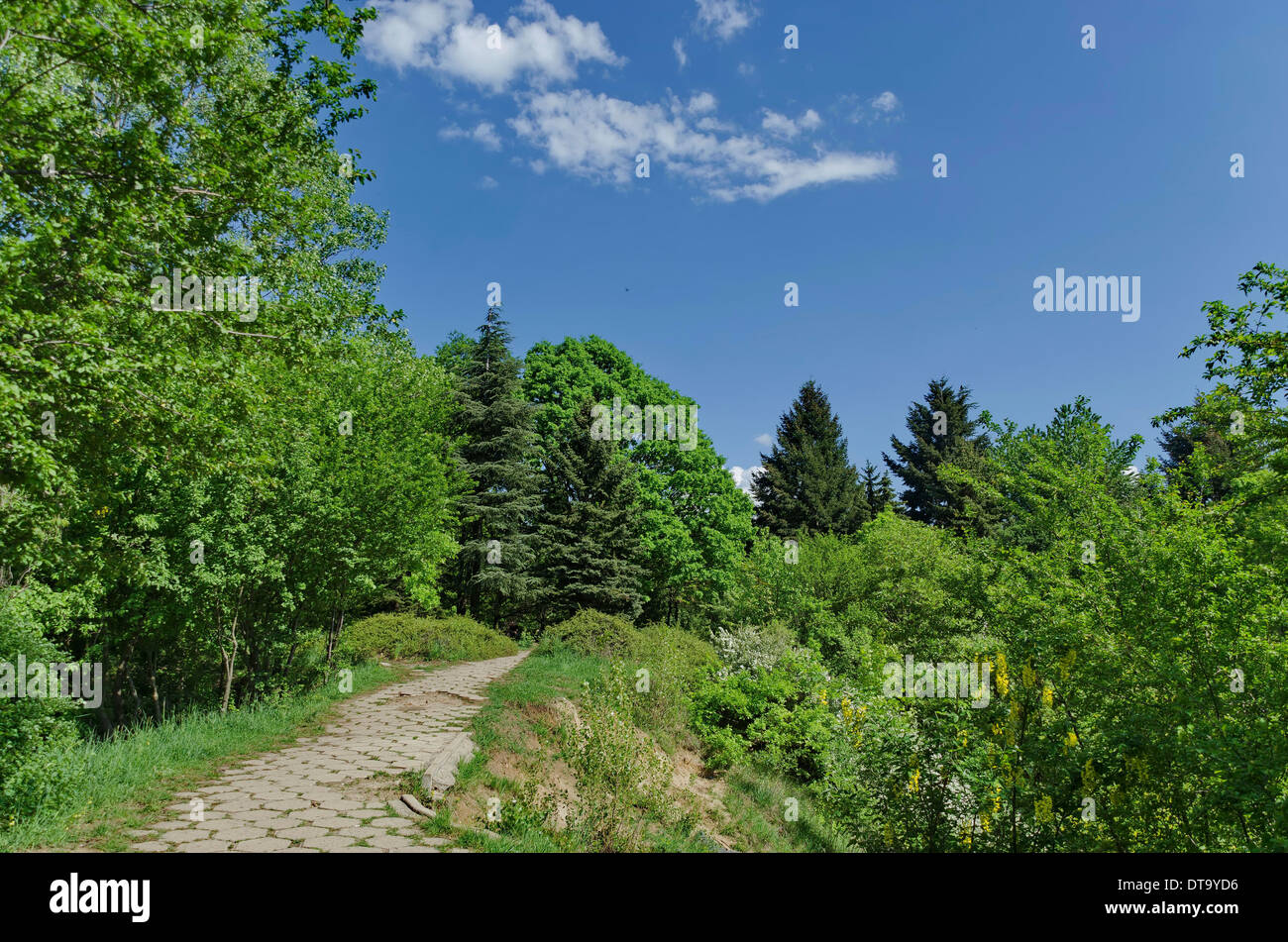 Spring landscape in South Park in Sofia Stock Photo - Alamy