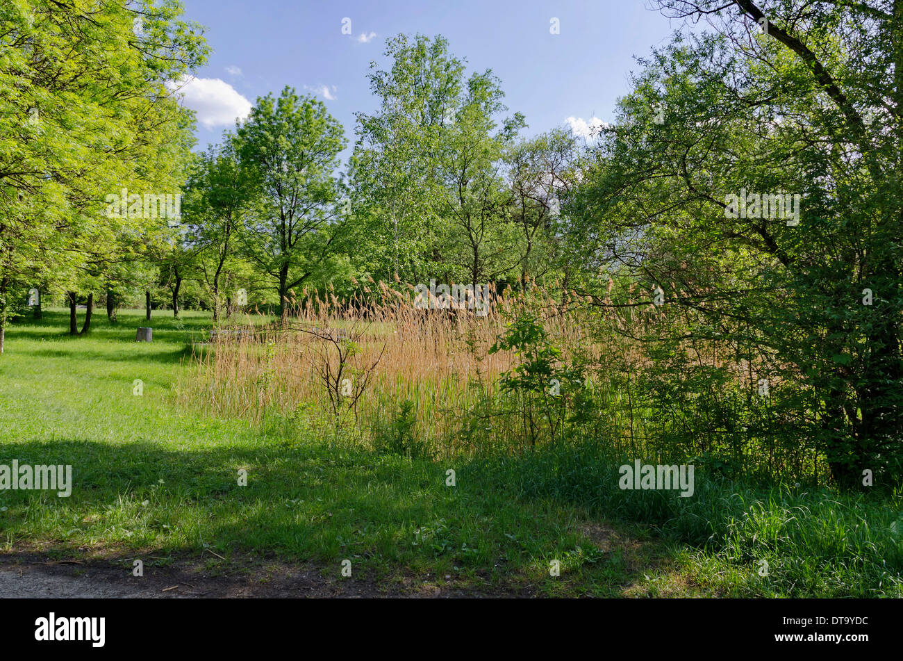 Spring landscape in South Park in Sofia Stock Photo - Alamy