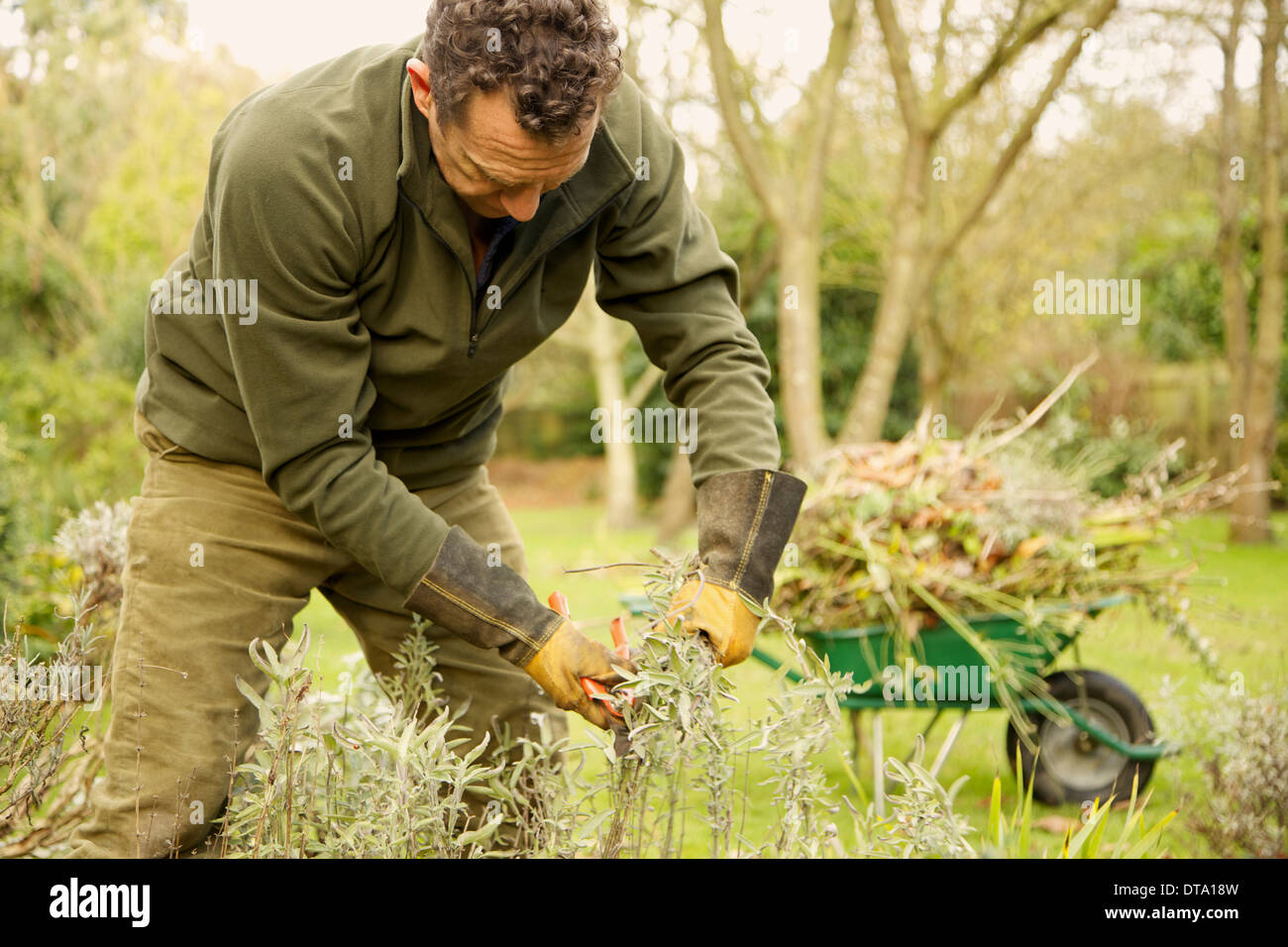 Pruning hi-res stock photography and images - Alamy