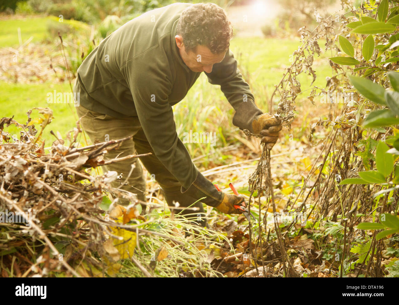 Cutting the weeds hi-res stock photography and images - Alamy