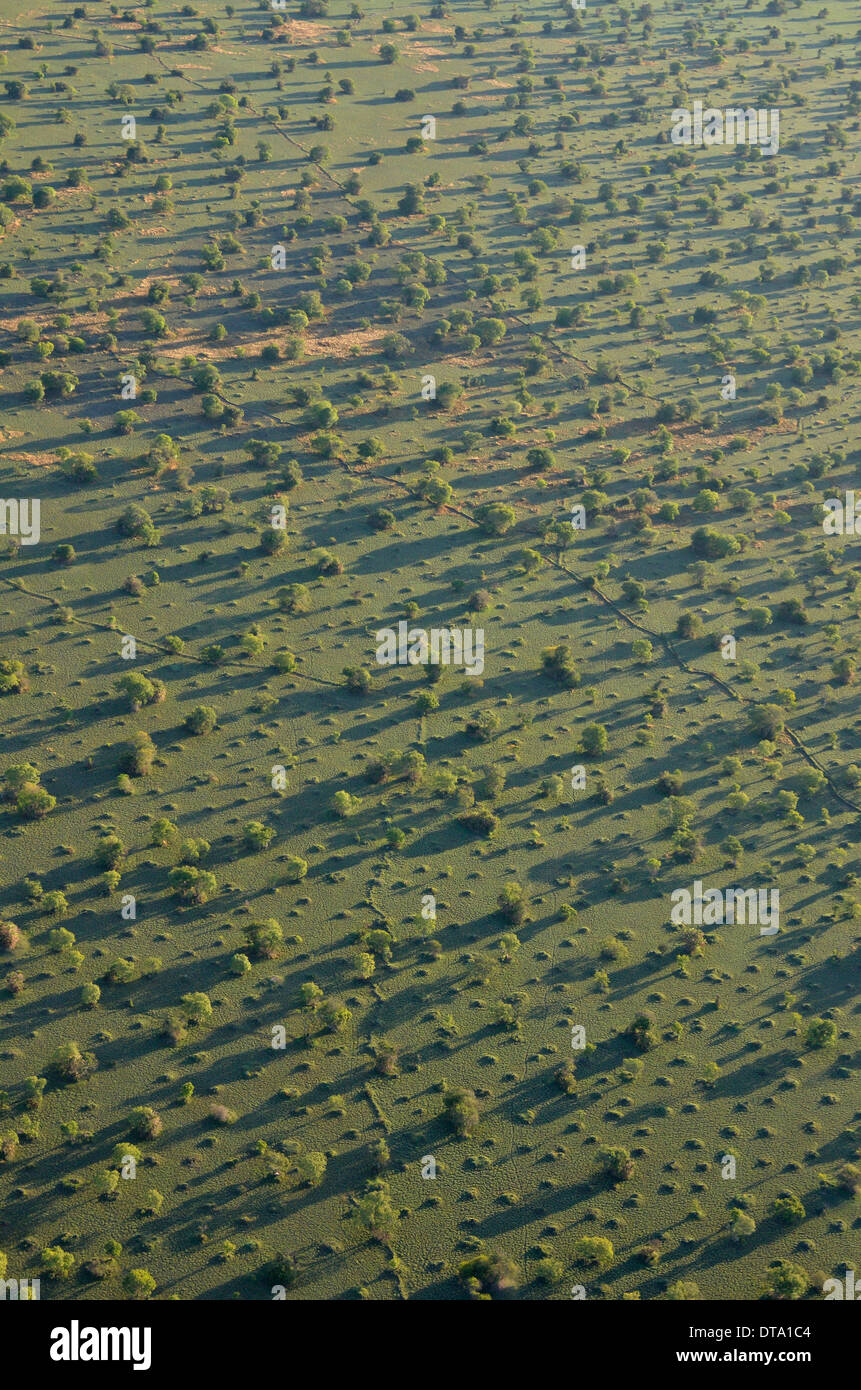 Aerial view, landscape in morning light, Bangweulu swamps, Luapula ...