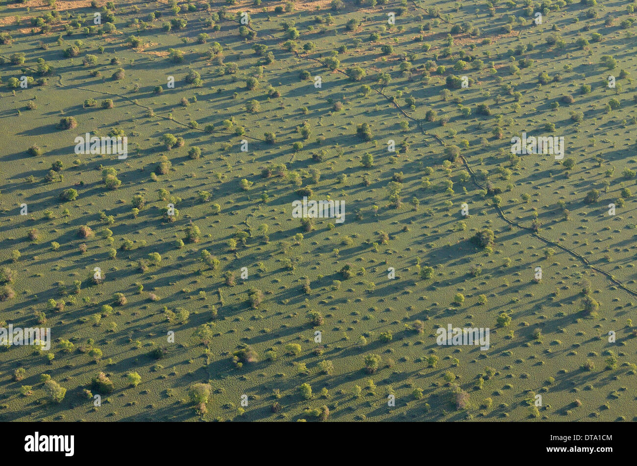 Aerial view, landscape in morning light, Bangweulu swamps, Luapula ...