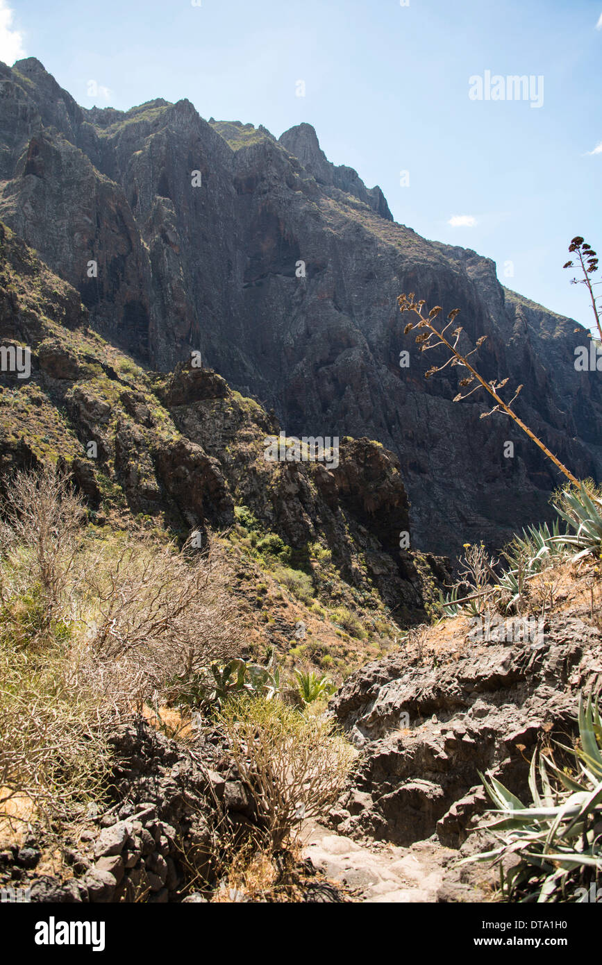 Masca Gorge, Tenerife, Canary Islands, Spain Stock Photo - Alamy