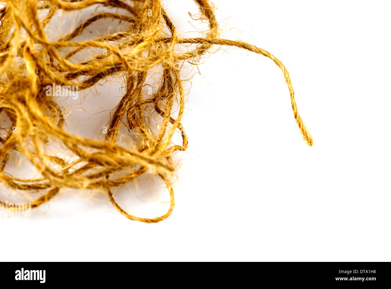 Tangled shadows hi-res stock photography and images - Alamy