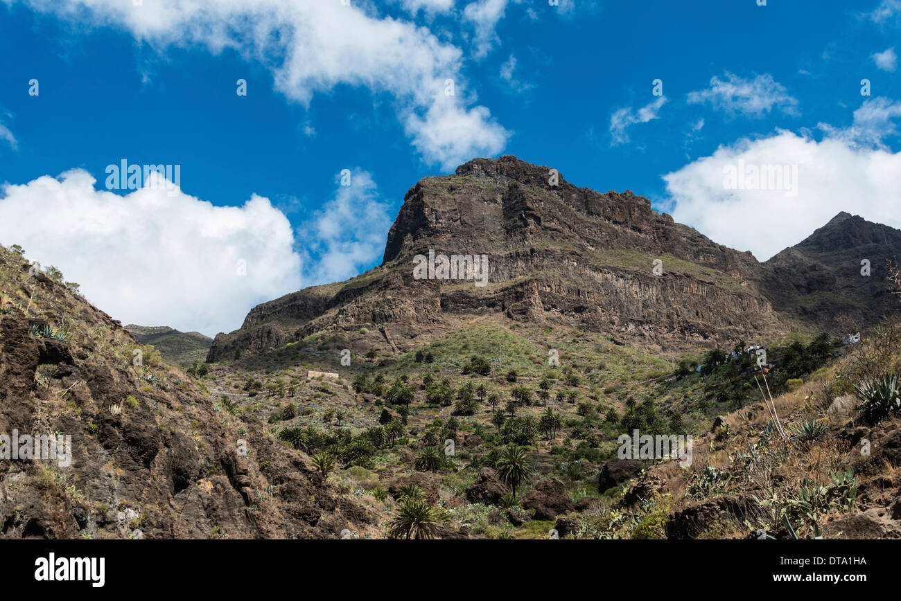 Masca Gorge, Tenerife, Canary Islands, Spain Stock Photo - Alamy