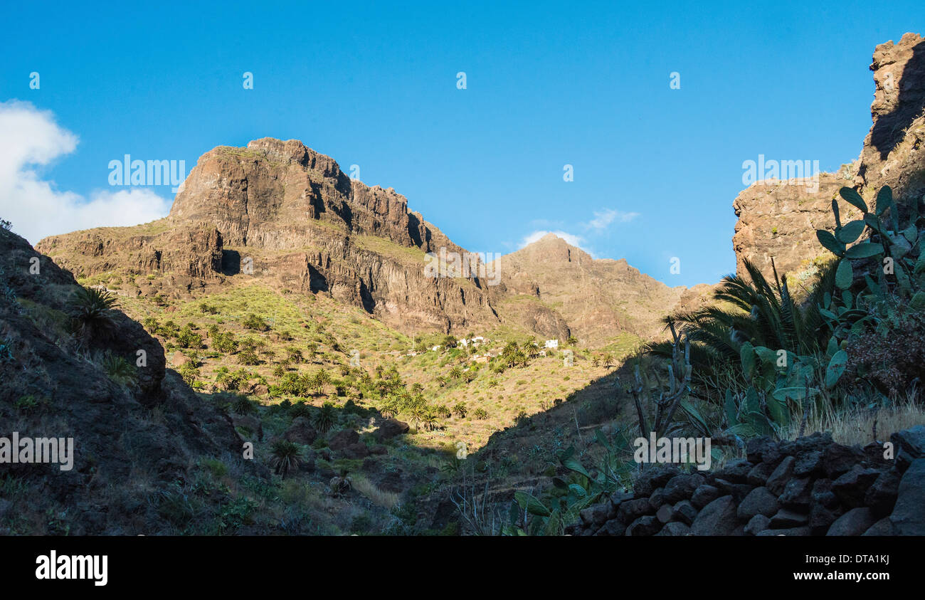 Mountain village Masca, Tenerife, Canary Islands, Spain Stock Photo - Alamy