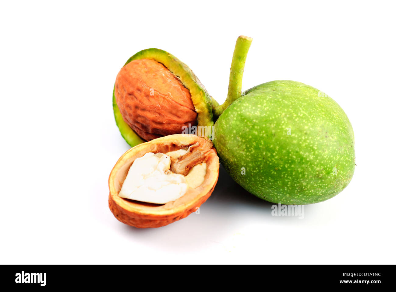Green walnut and part of fresh nut isolated on white background Stock ...