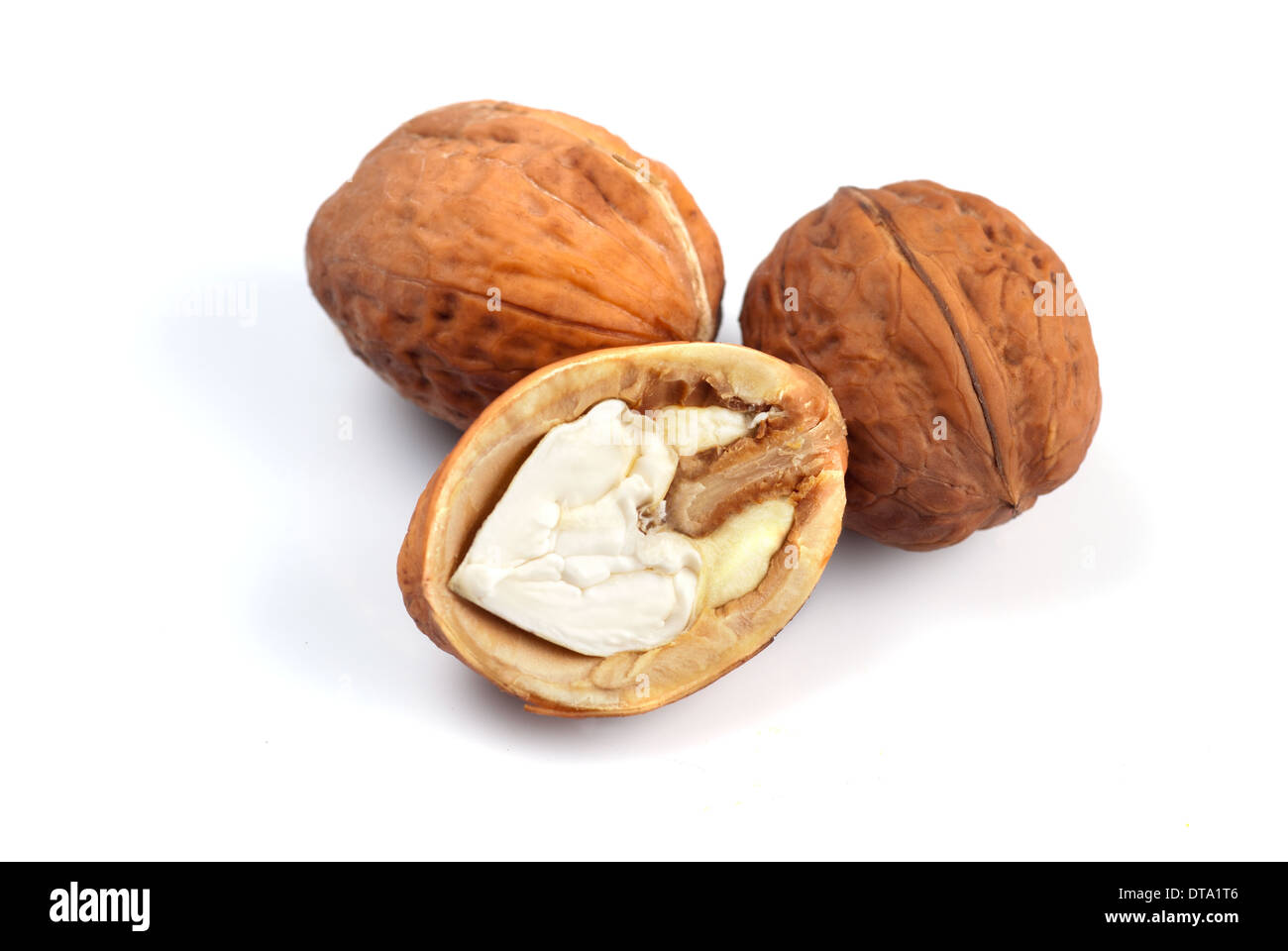 walnut and part of fresh nut isolated on white background Stock Photo ...