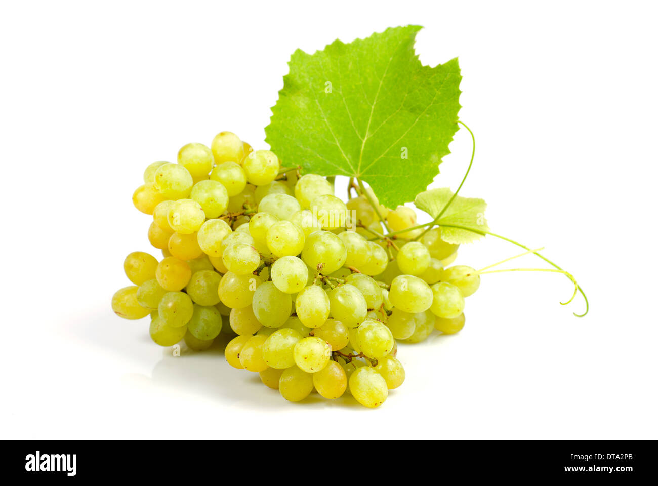 Fleshy grapes hi-res stock photography and images - Alamy