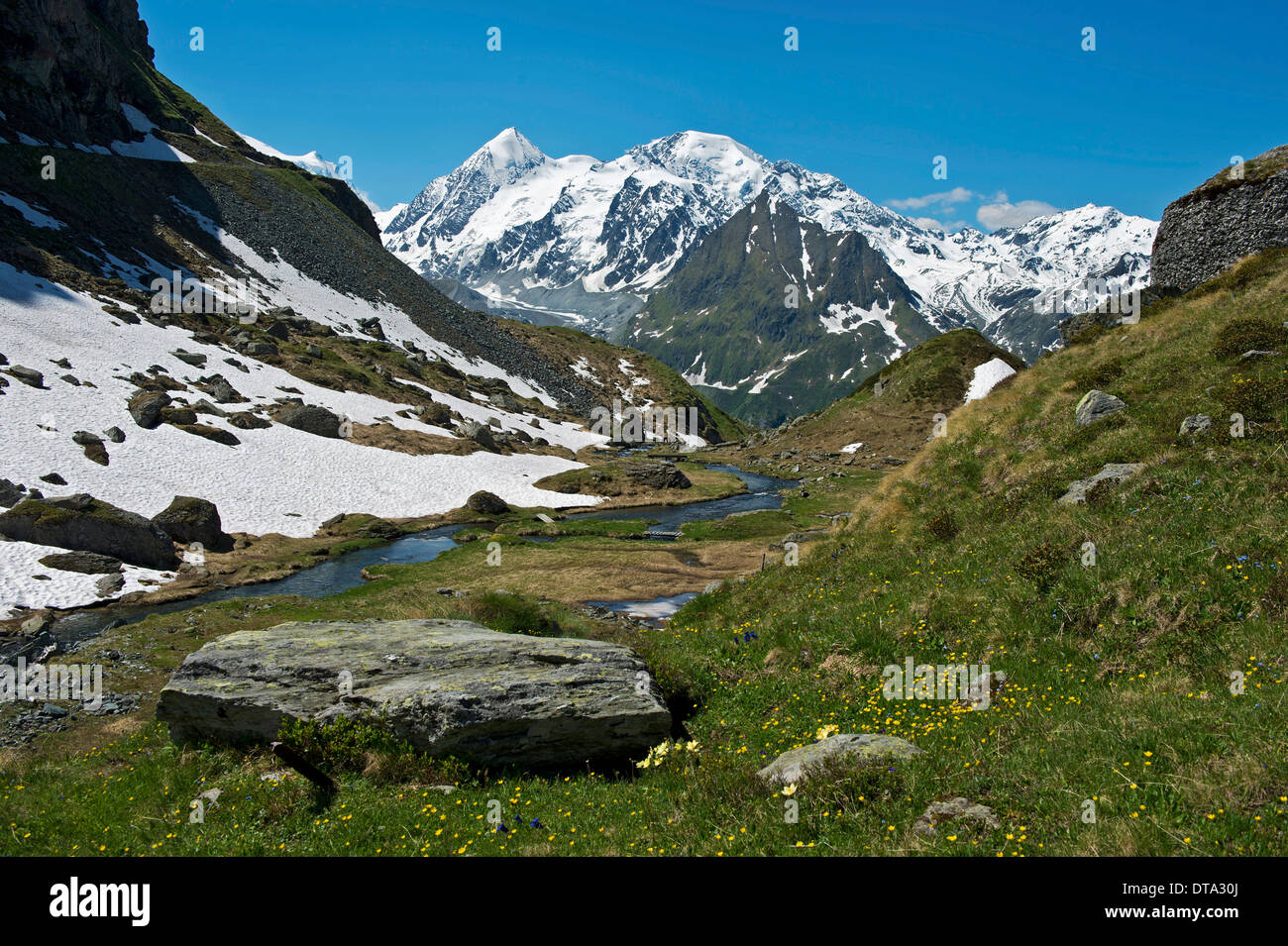 Valley with the Louvie stream in an alpine landscape with the peaks of ...