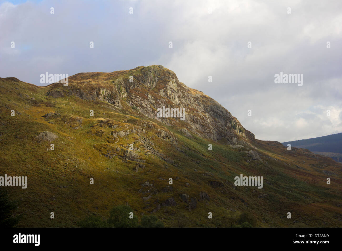 Cairnsmore of fleet hi-res stock photography and images - Alamy