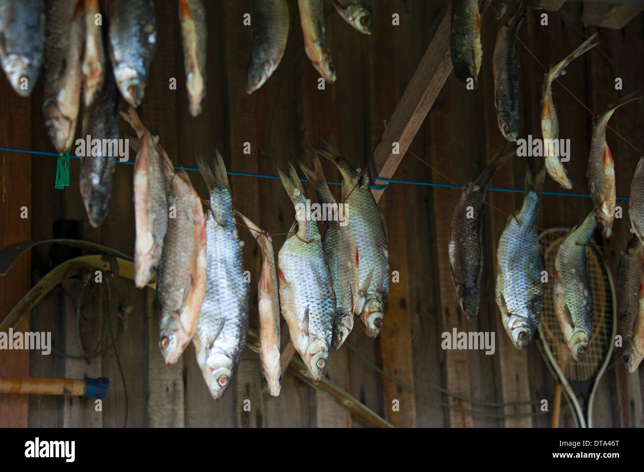 Fish drying sheds hi-res stock photography and images - Alamy