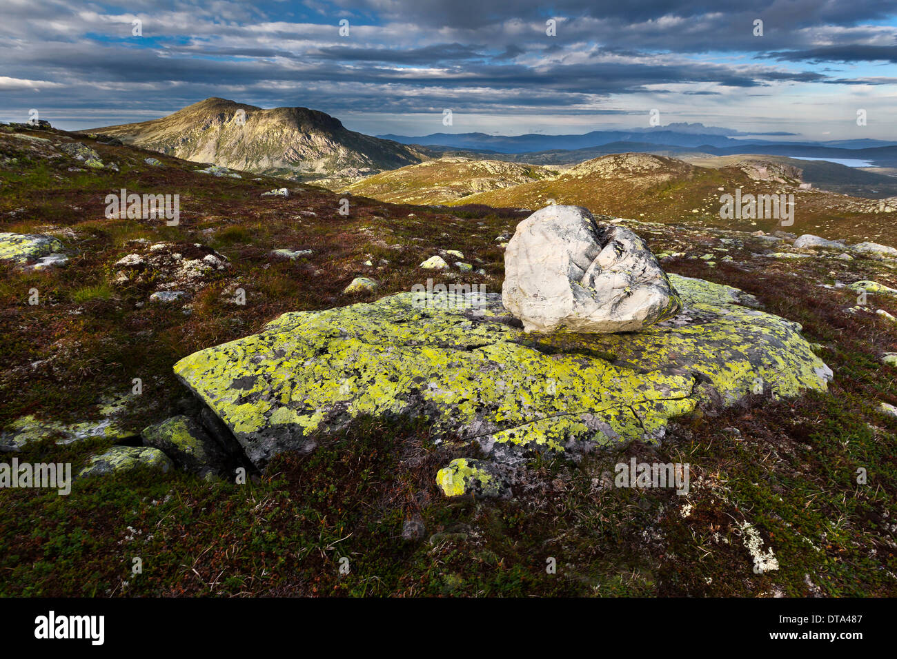 Tinn hi-res stock photography and images - Alamy