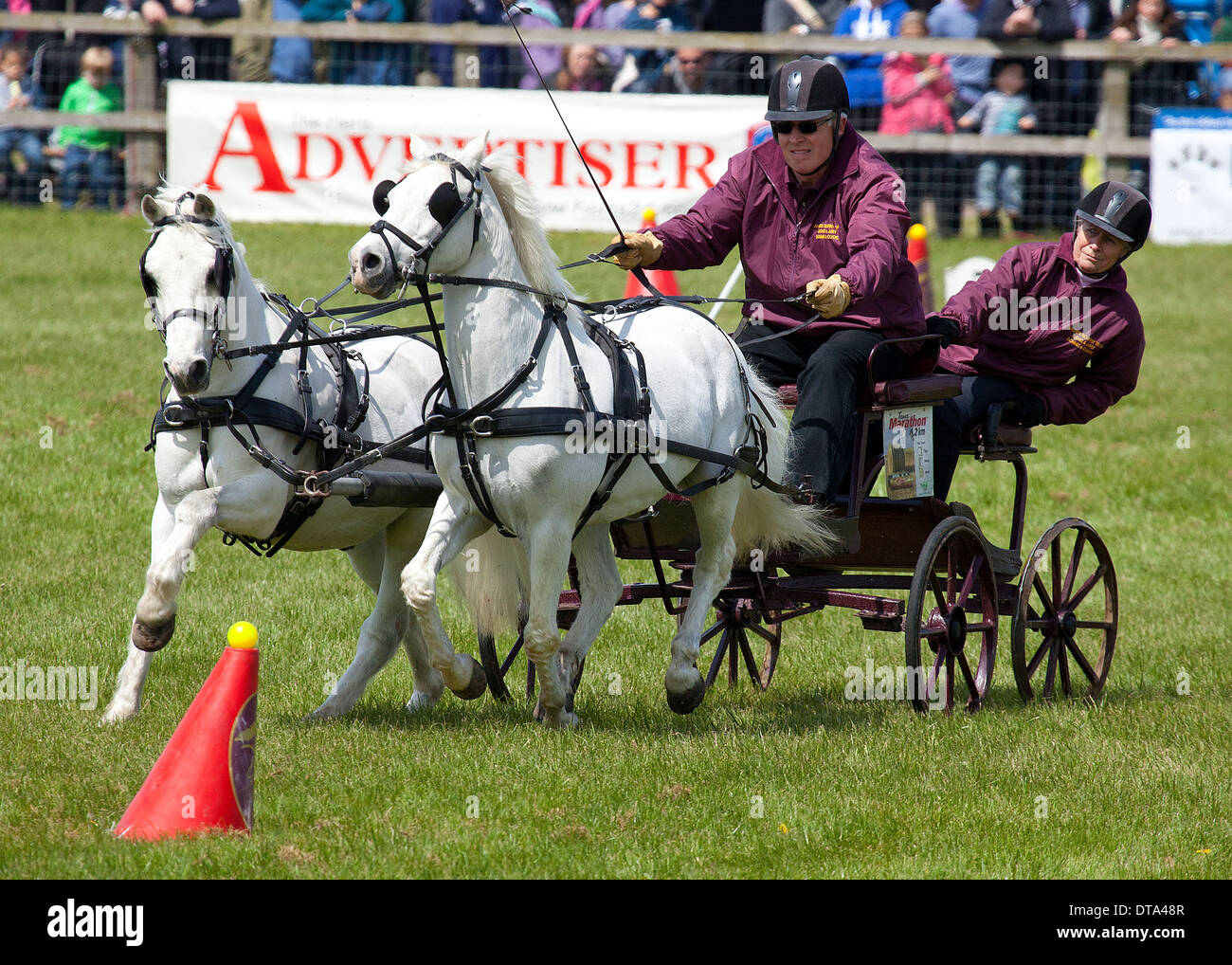 Scurrying hi-res stock photography and images - Alamy