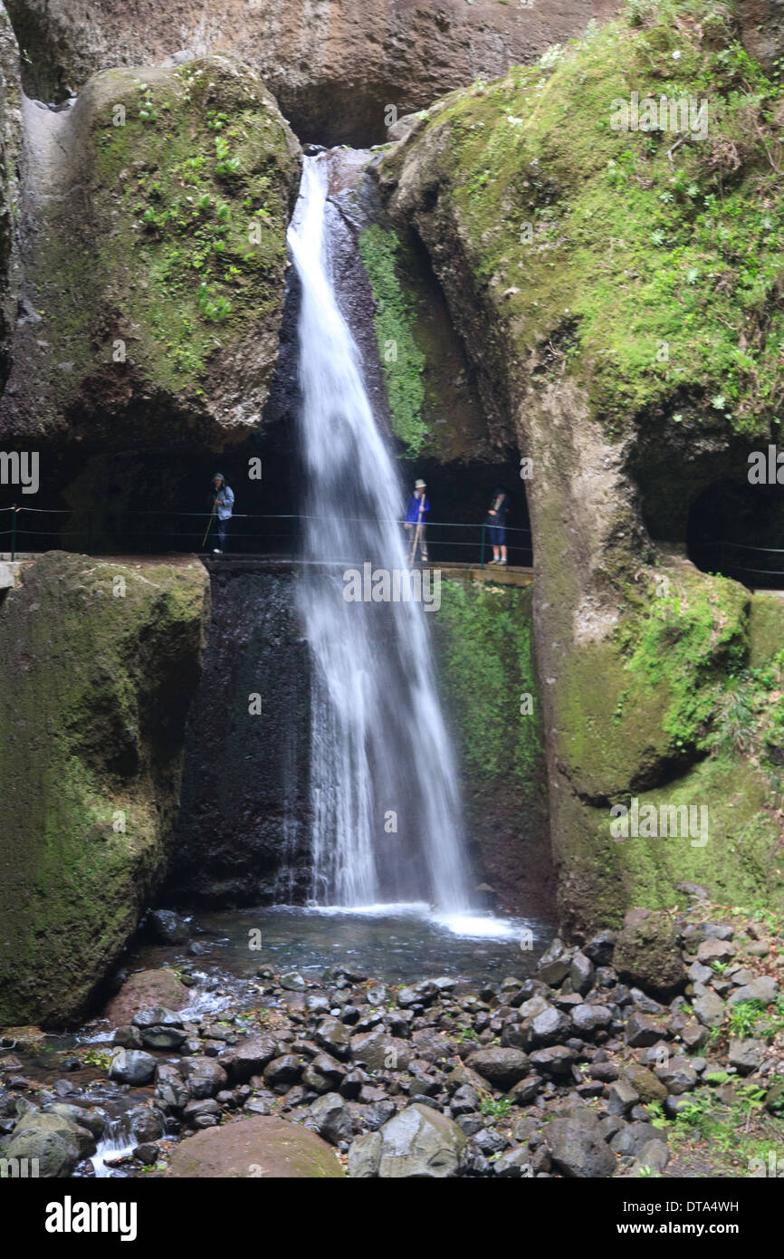Waterfall on the Levada Nova, Madeira, Ponta do Sol Stock Photo - Alamy