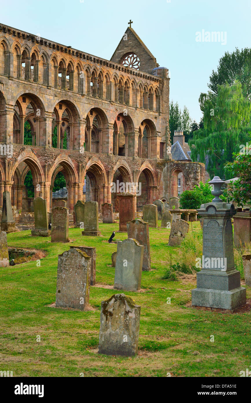 The ruins of Jedburgh Abbey, Augustinian monastery, 12th century ...